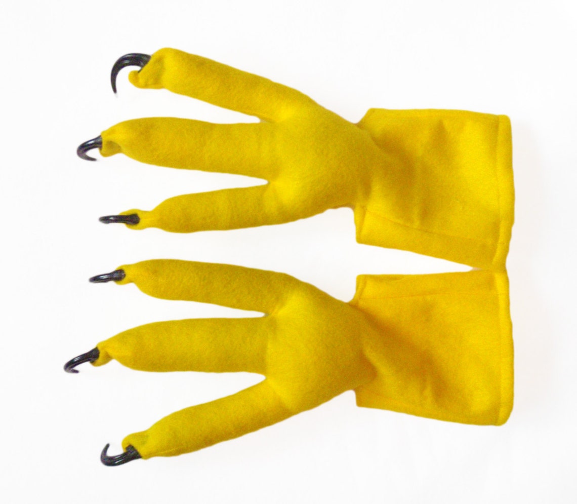 Bird of Prey Feet. Yellow With Talons. Four Sizes. Hawk - Etsy