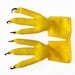 Bird of Prey Feet. Yellow With Talons. Four Sizes. Hawk, Falcon, Eagle ...