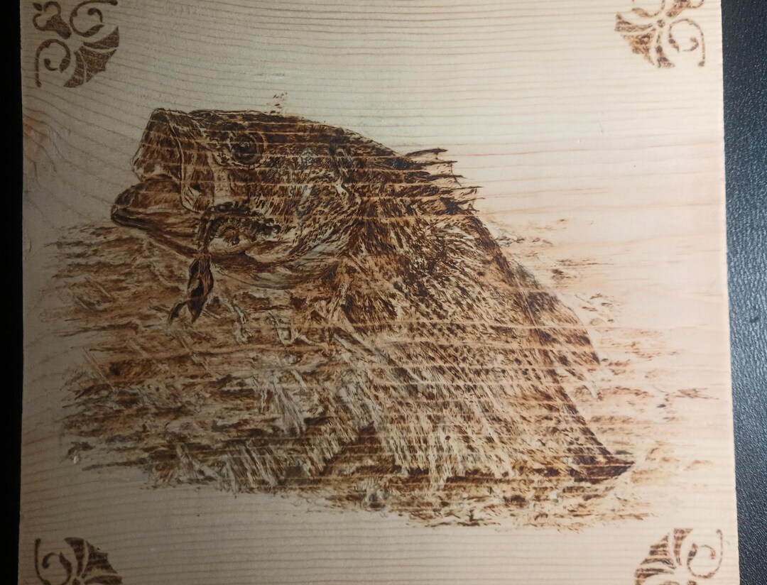 Bass Fish Art, Pyrography Art, Mimicksdesigns, by Lamonte M. Battles - Etsy
