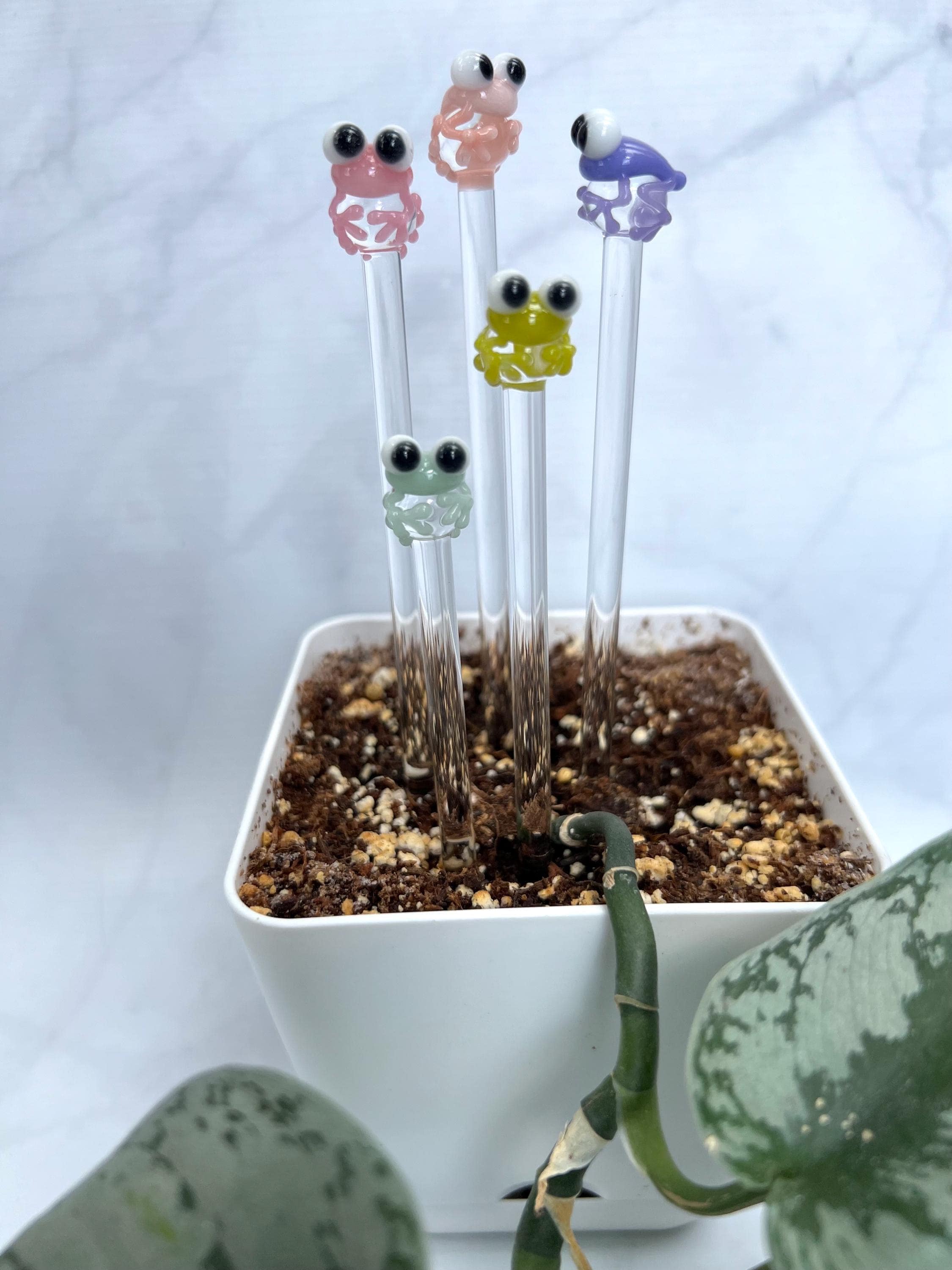 Pastel Frog Glass Plant Stake - Etsy