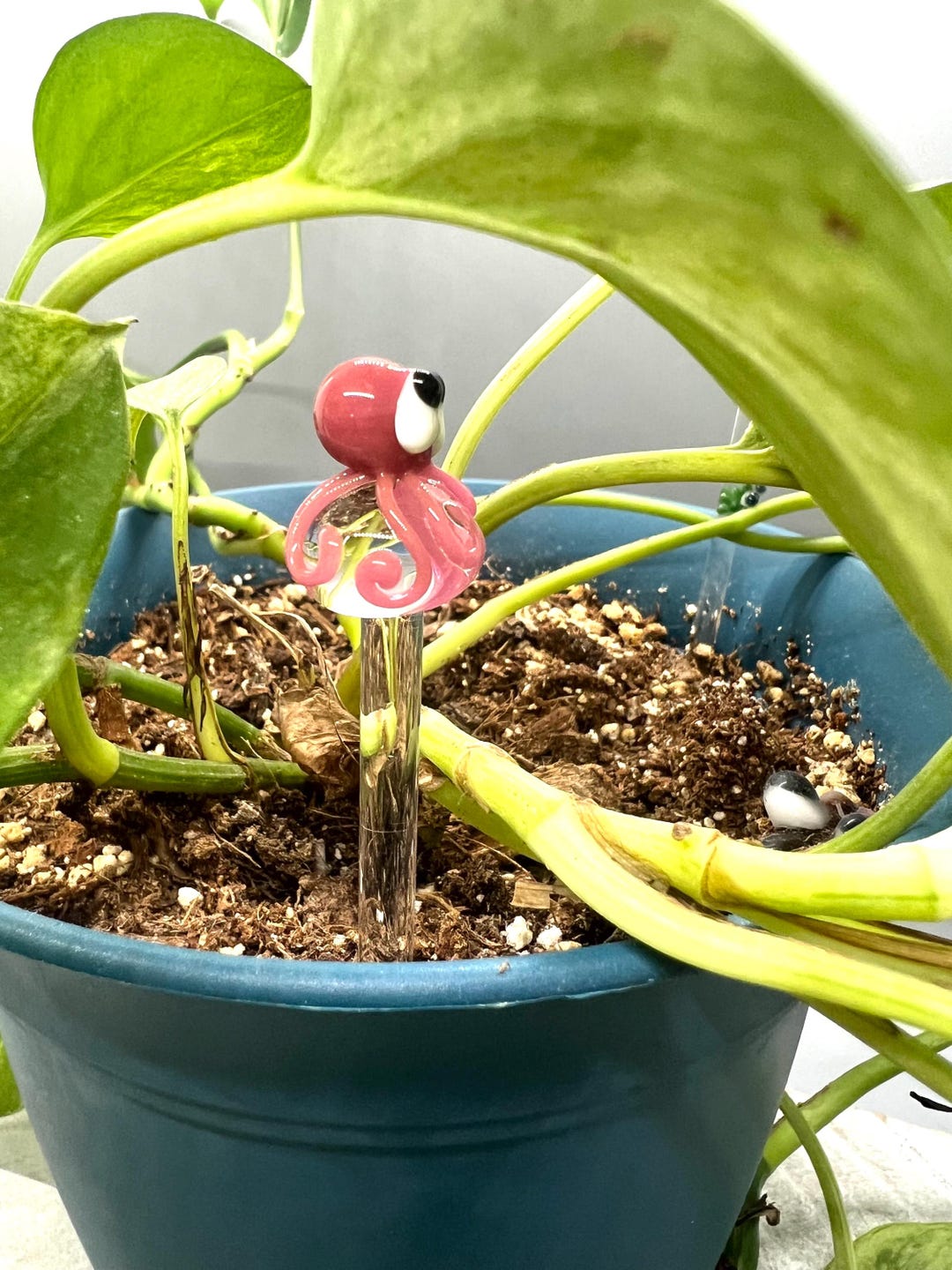 Pink Octopus Glass Plant Stake- Customizable- Eco Friendly- Handmade ...