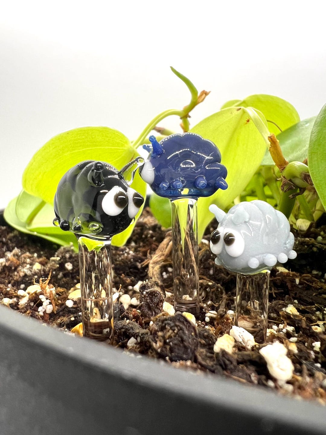 Roly Poly Glass Plant Stake - Etsy