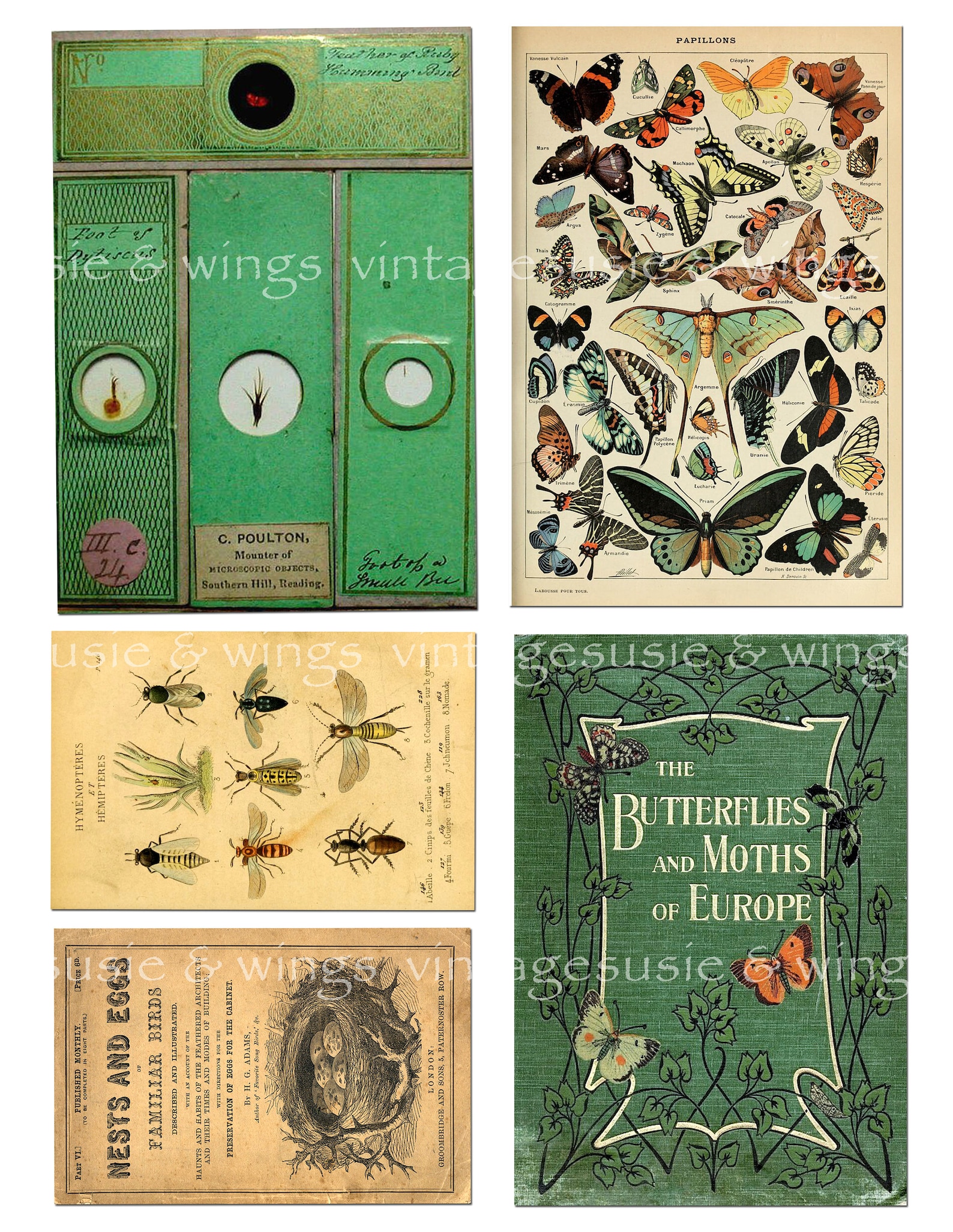 Vintage FIELD NOTEBOOK Kit 2 Digital Junk Journal Printable | Etsy