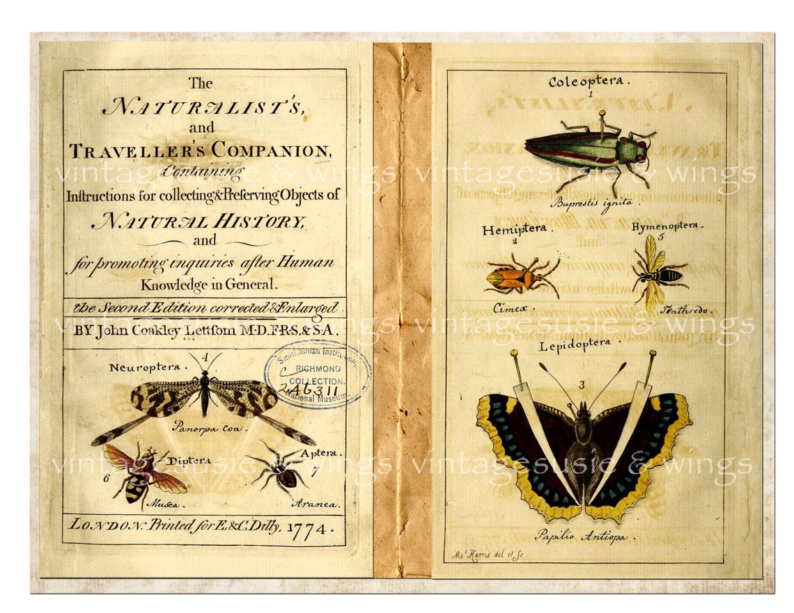 Vintage FIELD NOTEBOOK Kit 2 Digital Junk Journal Printable | Etsy