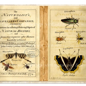 Vintage FIELD NOTEBOOK Kit 2, Digital Junk Journal Printable, Nature ...