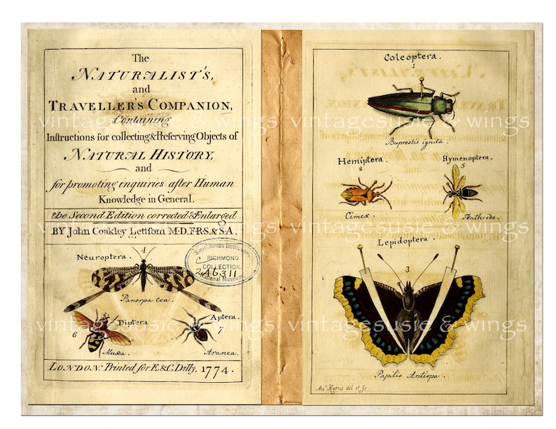 Vintage FIELD NOTEBOOK Kit 2 Digital Junk Journal Printable | Etsy