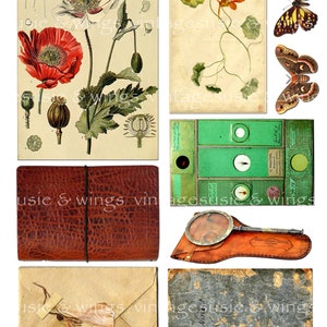 Vintage FIELD NOTEBOOK Kit 2, Digital Junk Journal Printable, Nature ...