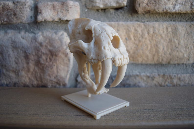 Printed 3D Saber-tooth Tiger, 3D Printed Animal, 3d Print, Animal Print ...