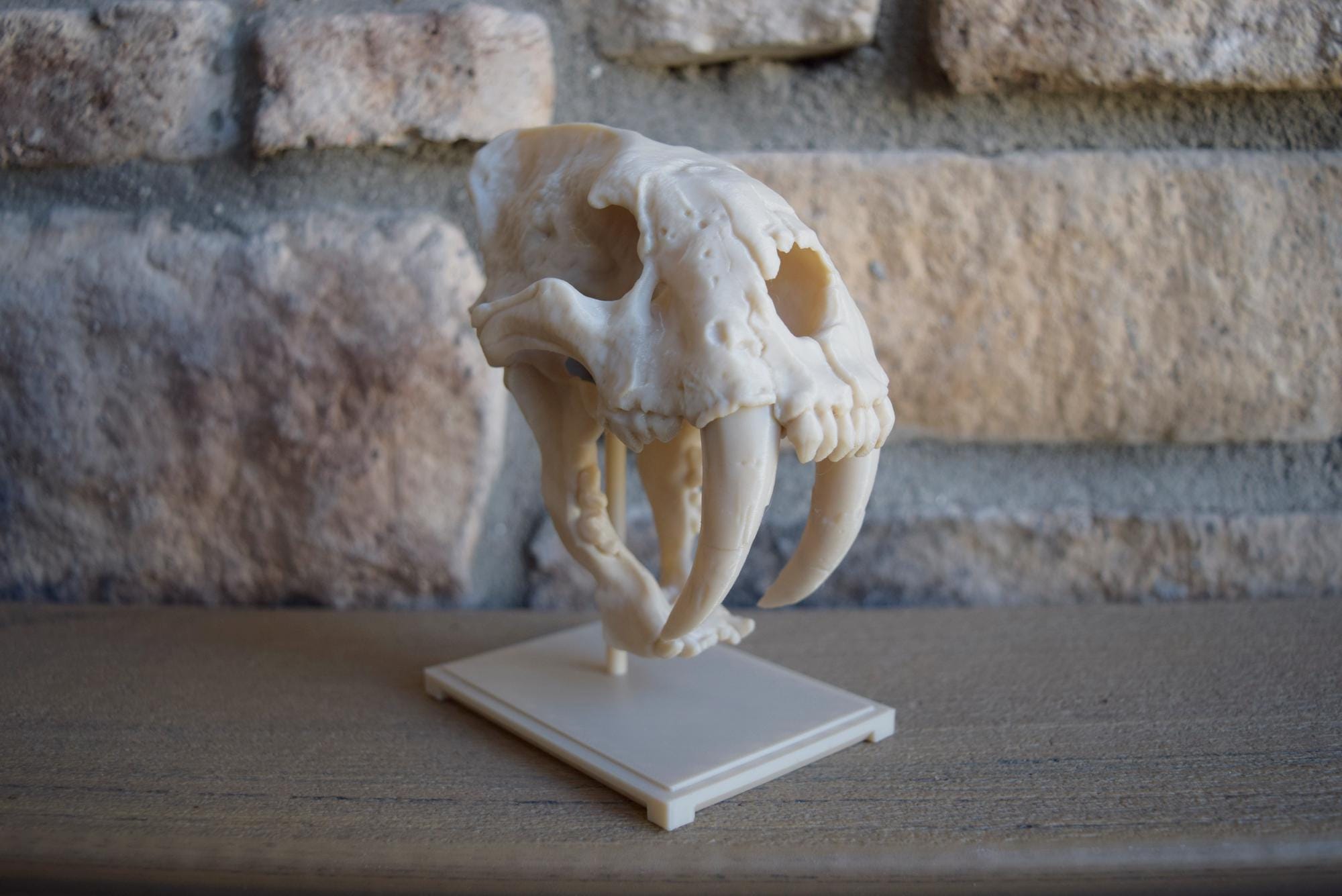 Printed 3D Saber-tooth Tiger, 3D Printed Animal, 3d Print, Animal Print ...