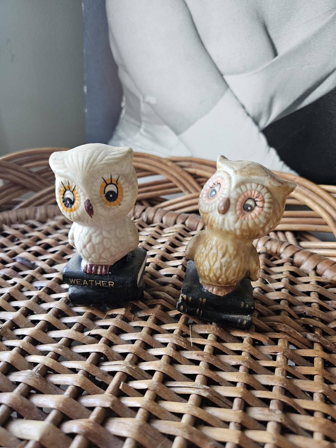 Vintage Enesco Weather Owl Figurine - Etsy