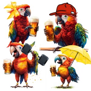 22 Parrots With Beer PNG Designs Macaw Sublimation Printable Bird ...