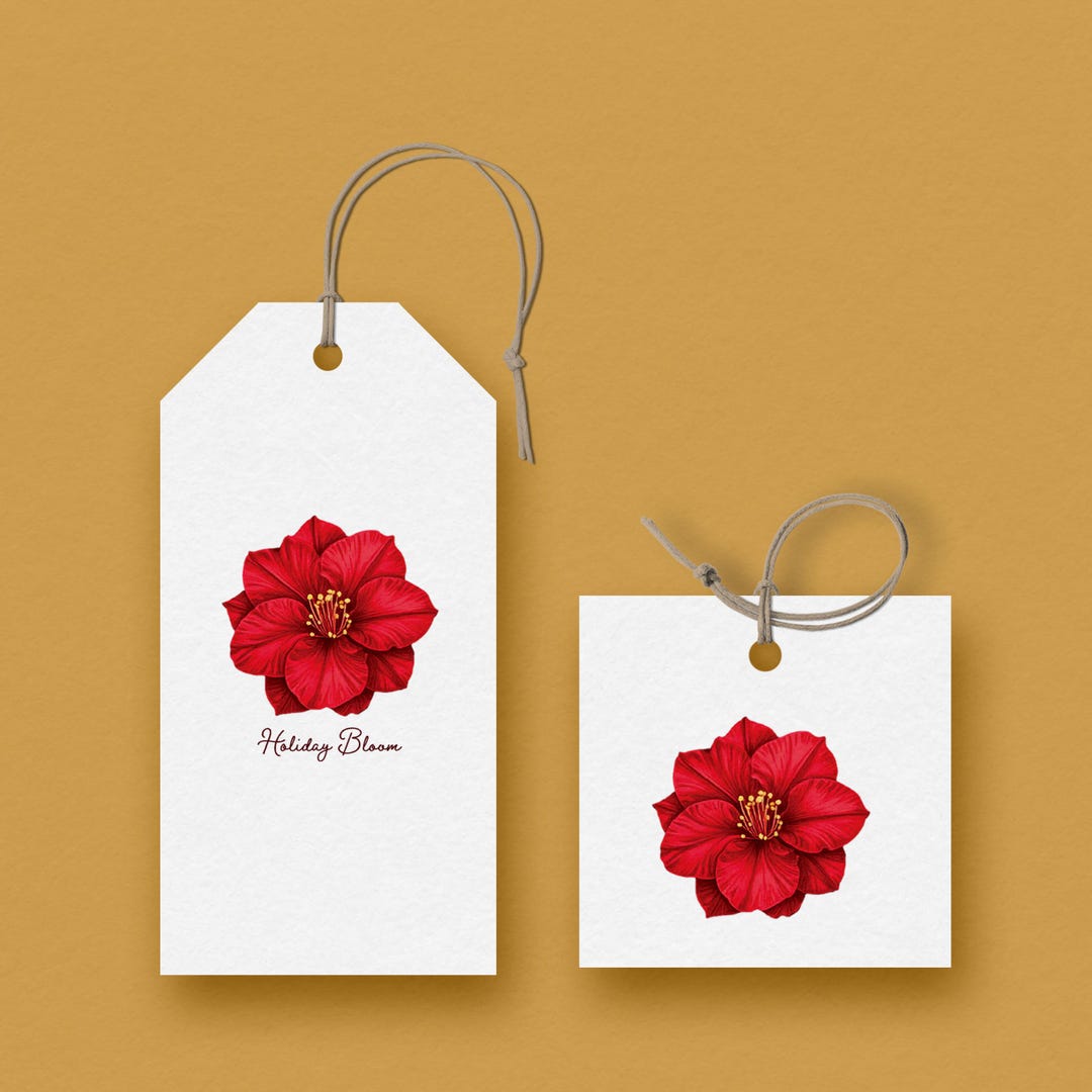 Gift Tag and Favor Card With Holiday Bloom Amaryllis (PDF Download) - Etsy