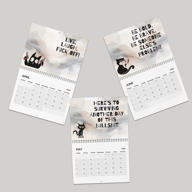 2025 Wall Calendar, Unhinged Email Sign-offs, Cat Lover Gift, Funny ...