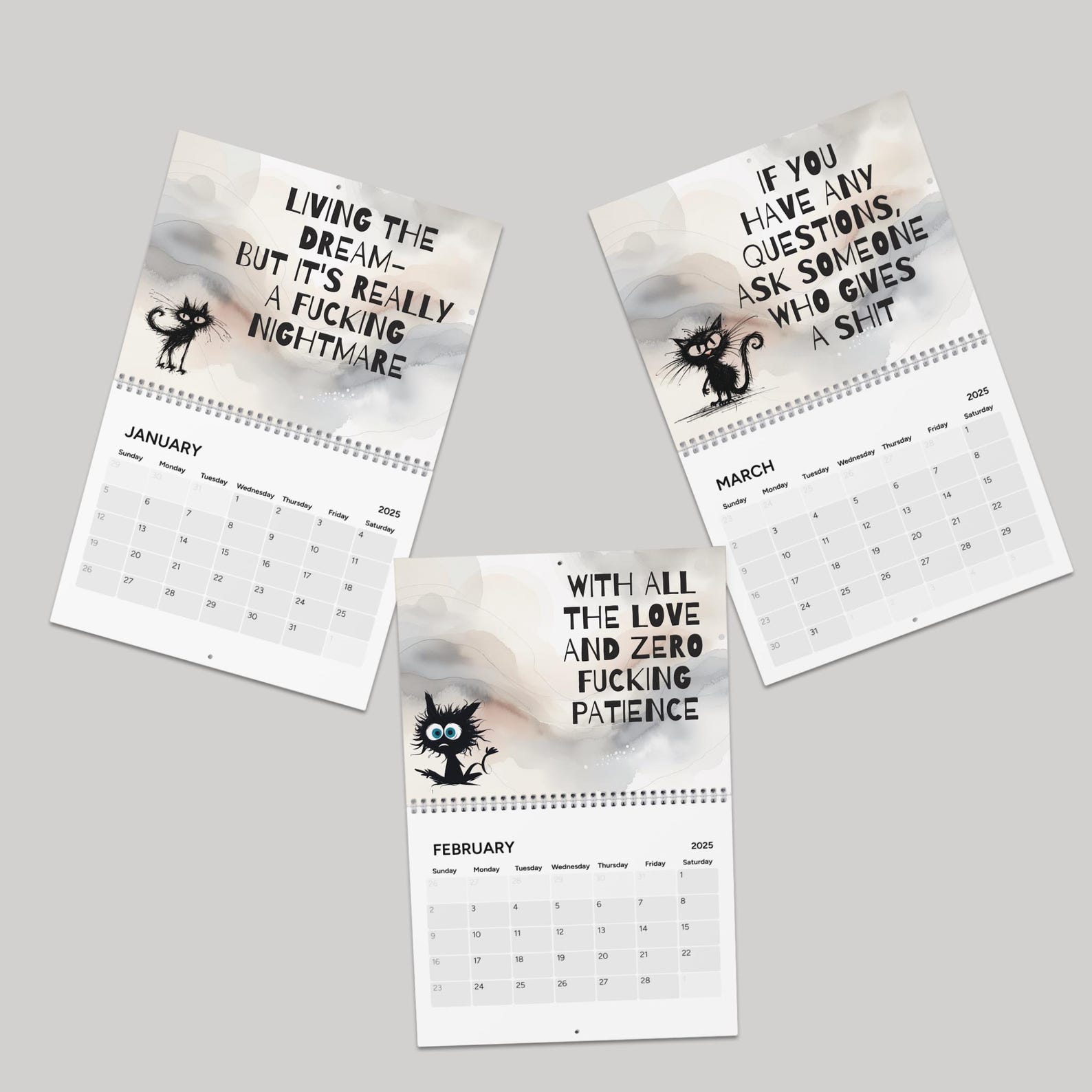2025 Wall Calendar, Unhinged Email Sign-offs, Cat Lover Gift, Funny ...