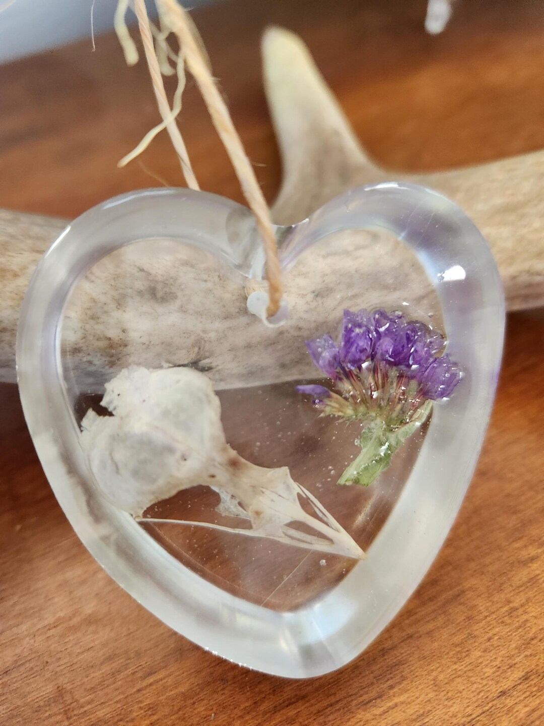 Bird Skull Ornament - Etsy