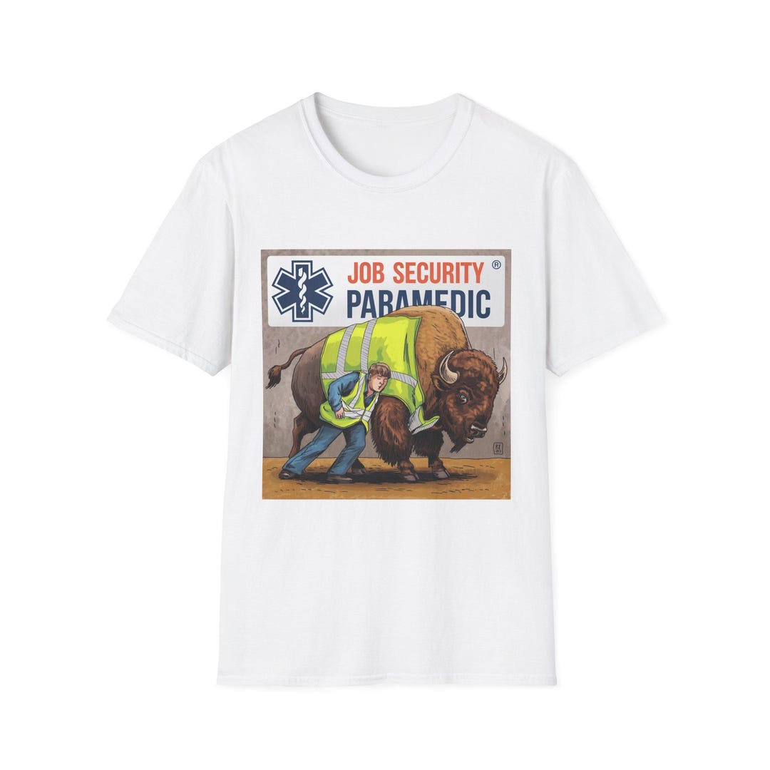 Paramedic Job Security T-shirt, Funny EMS Shirt, Gift for Paramedics ...