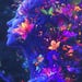 Psychedelic Poster: Ethereal Floral Harmony - Etsy