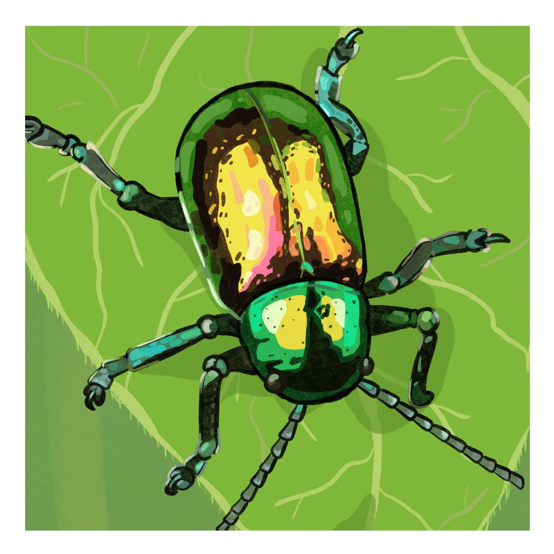 June Bug | 5x5" Print | Matte Fine Art Print - Etsy