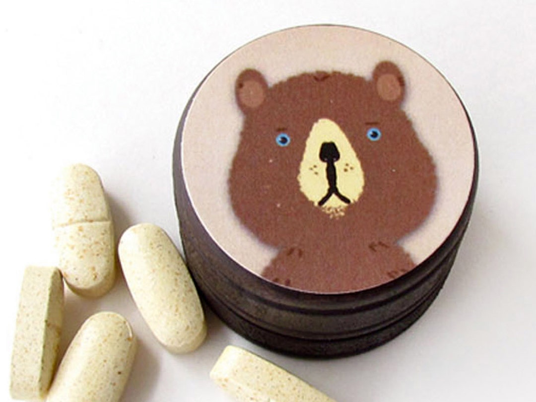 Grizzly Bear Wooden Container Box Brown Bear Pill Vitamin - Etsy