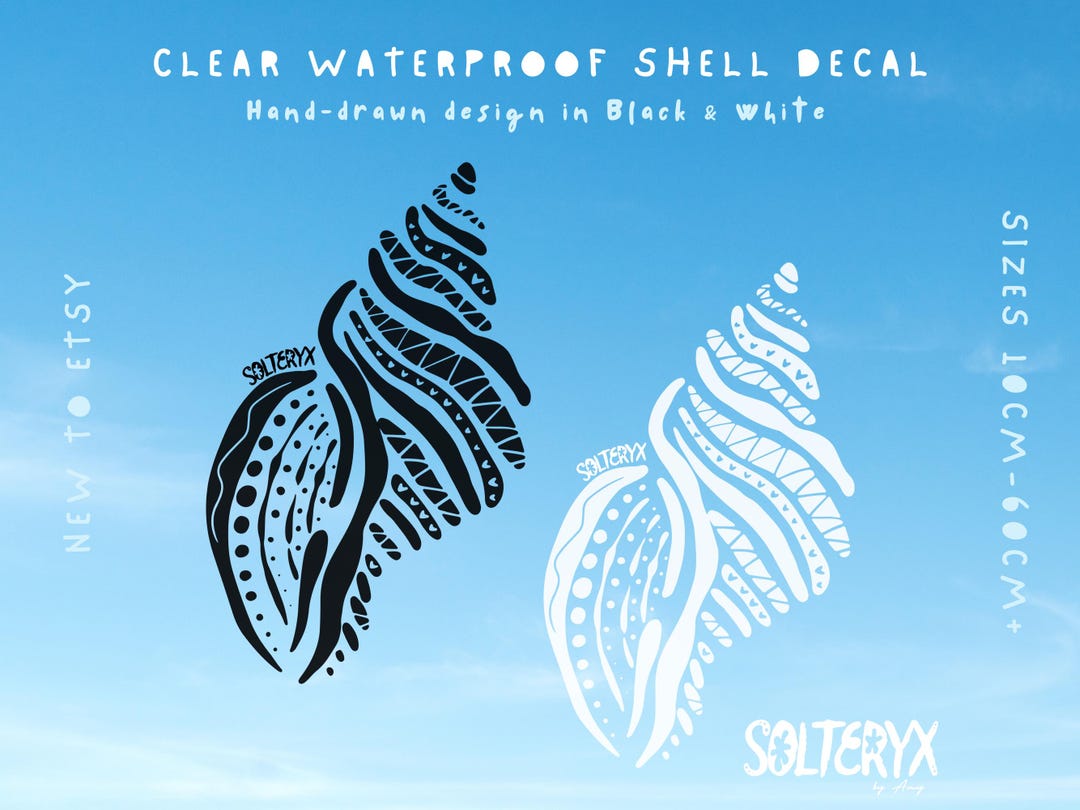 SHELL Clear Vinyl Hand-drawn Decal - Waterproof & Durable - Surfboard ...