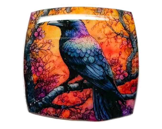 Bright Raven 40mm Pillow - Etsy