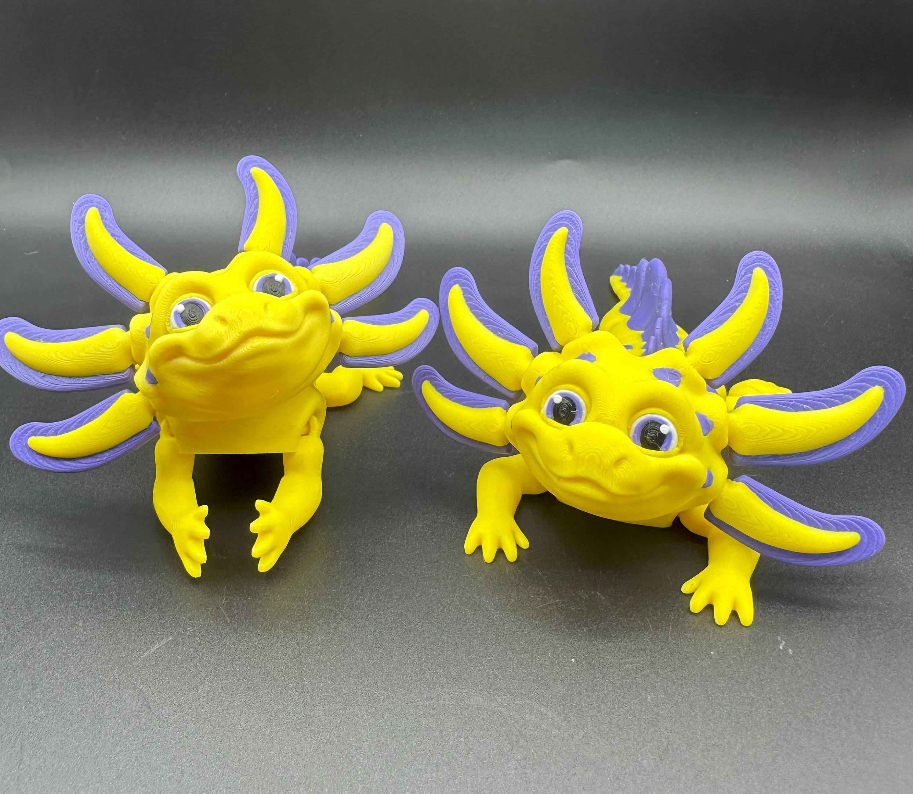 Axolotl Banana Split Large Detailed Articulating 3D Printed Amphibian ...