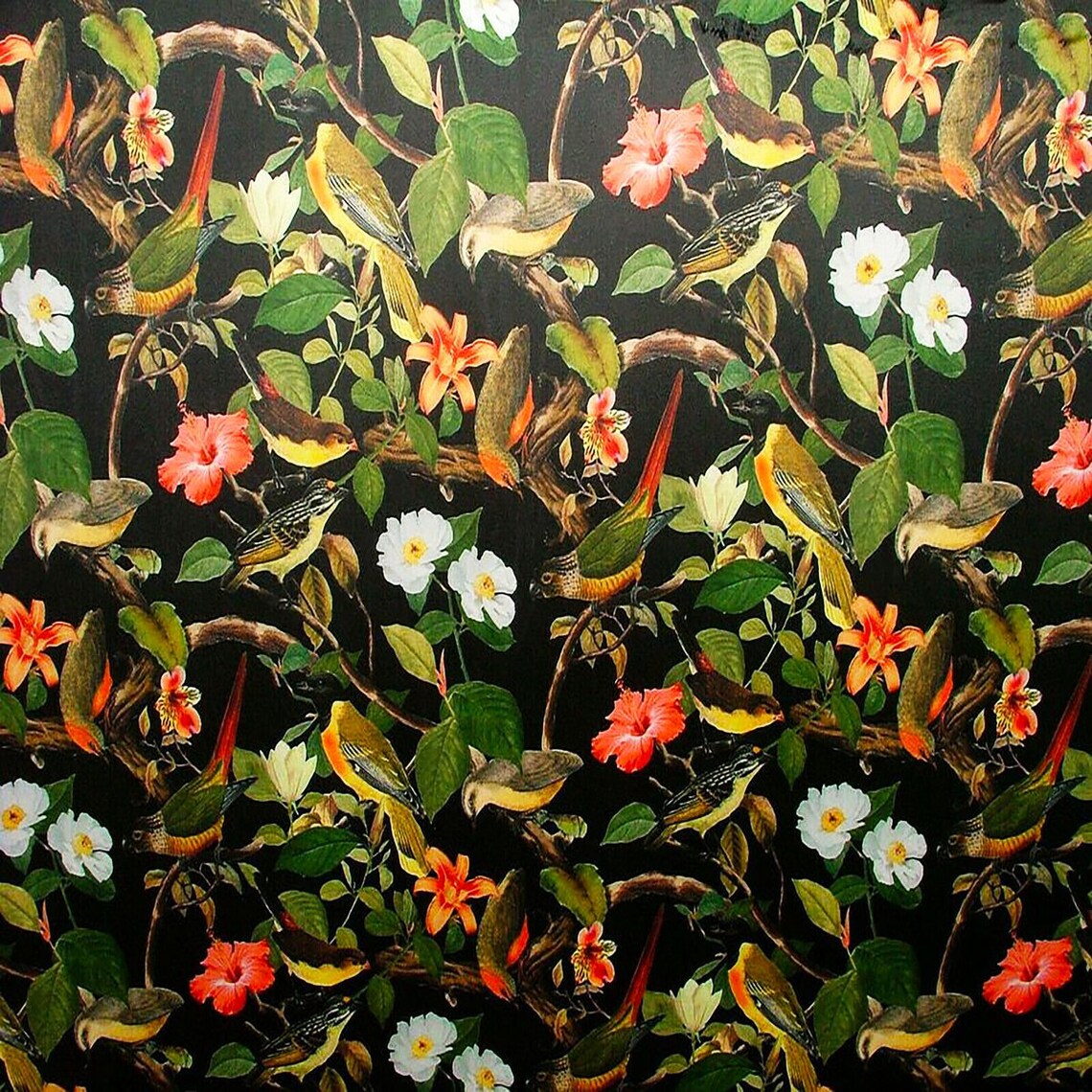 Shadow Caller Bird Lampshade With Fringing - Etsy