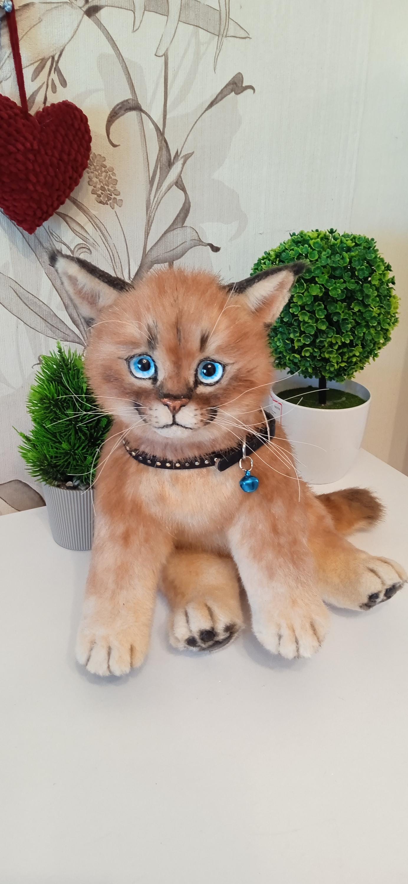 Baby Caracal Realistic Toy Hand Made - Etsy