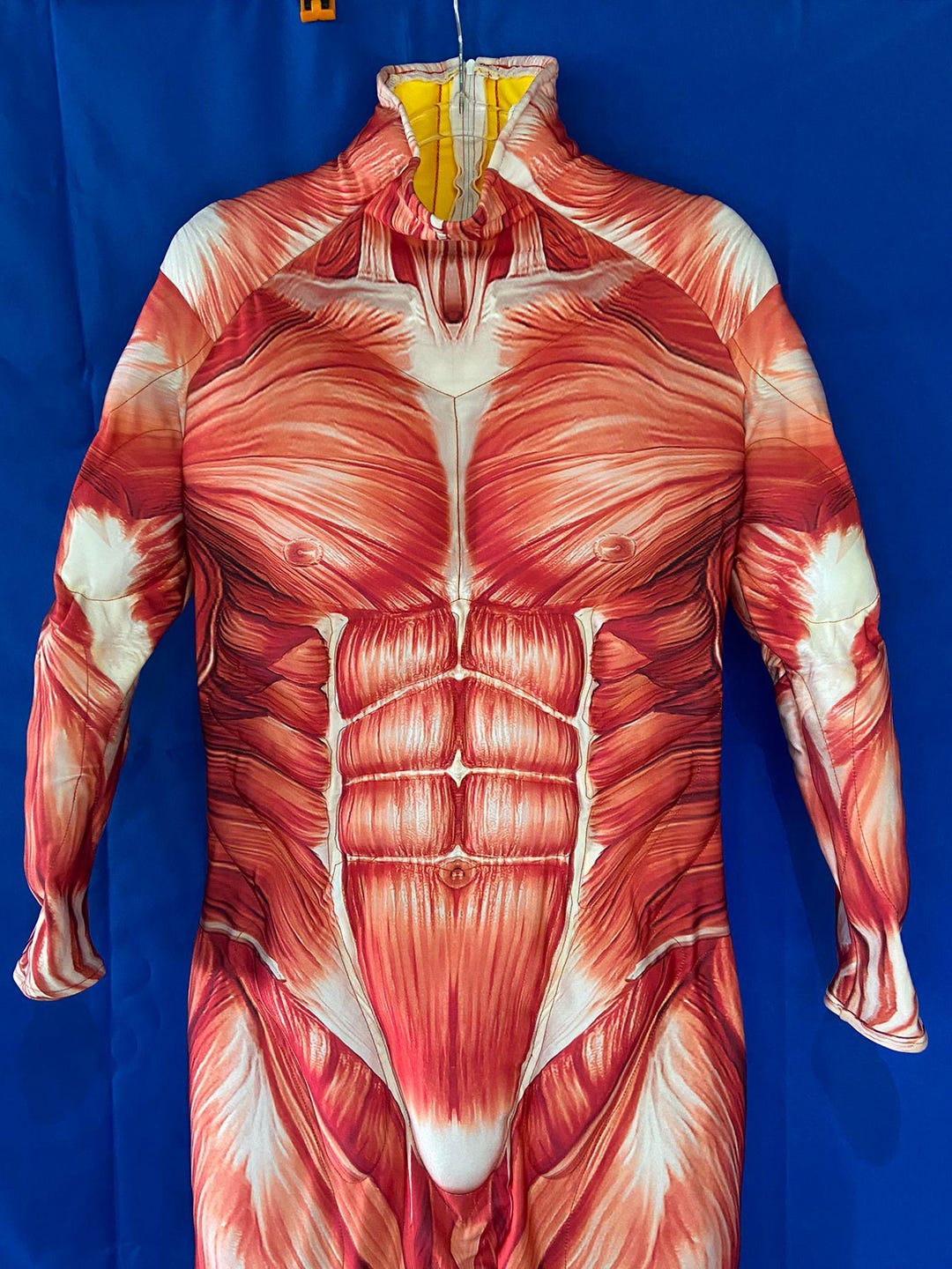 Human Organ Muscle Suit Custom Cosplay Muscle Suits Handmade Body ...