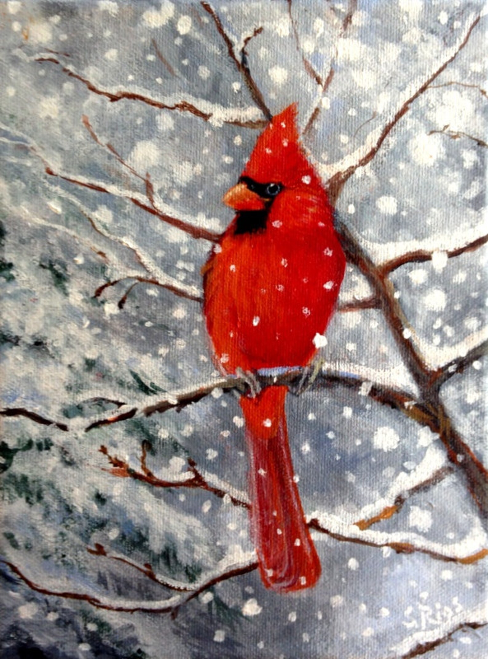 Red Cardinal Bird Print Cardinal in Snow Cardinal Art | Etsy Canada