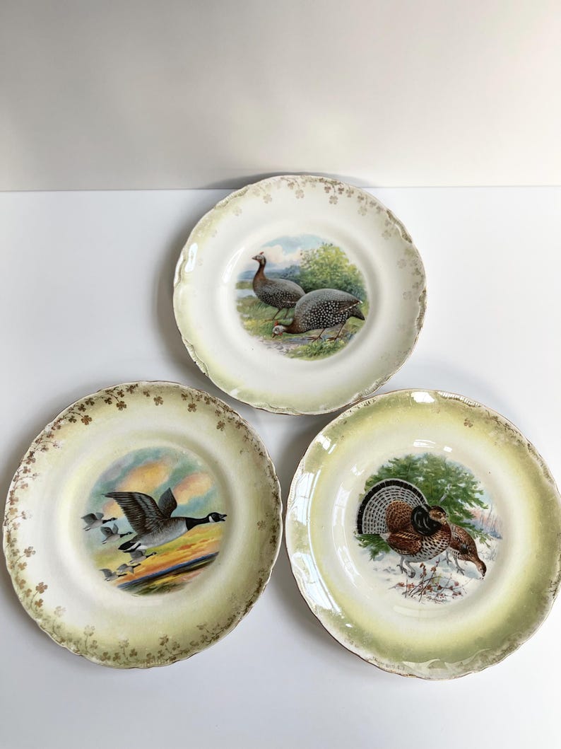 Set of 3 8 Porcelain Game Birds Plates - Etsy