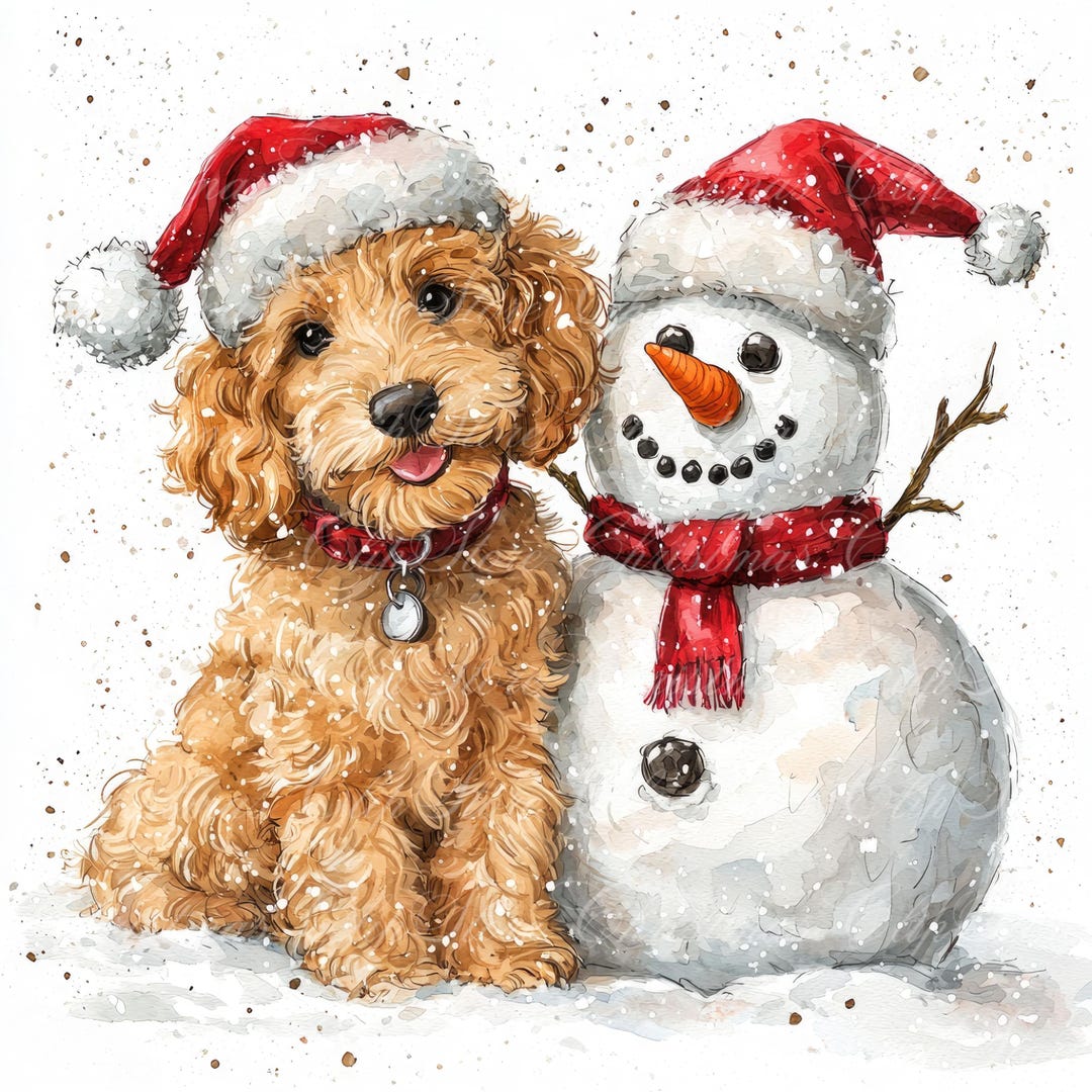 10 Christmas Goldendoodle and Snowman Digital Illustrations, High ...