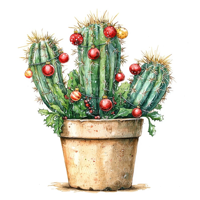 14 Christmas Cactus Digital Illustrations, High Quality PNG & JPG ...