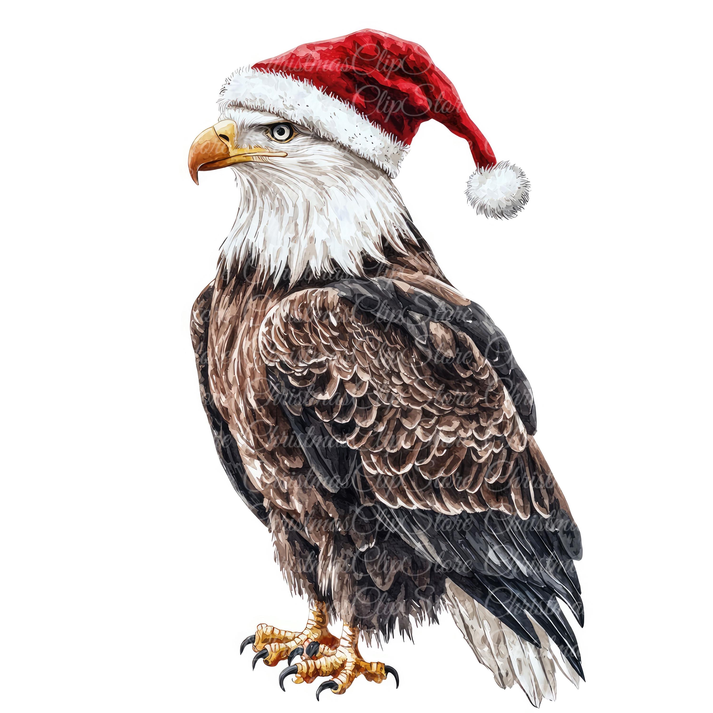 10 Eagle With Santa Hat Digital Illustrations, High Quality PNG & JPG ...