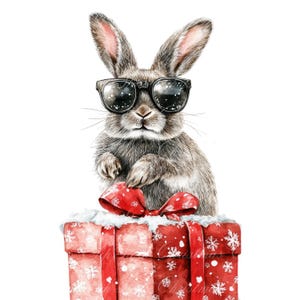 Cool Christmas Bunny Clipart, Gift Illustration (PNG & JPG) - Etsy