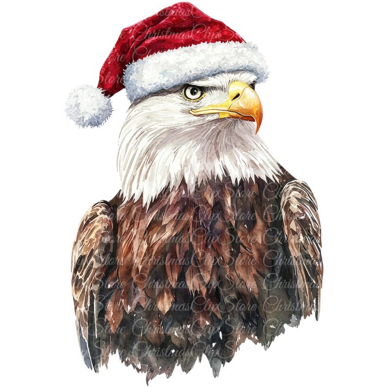 Eagle With Santa Hat Clipart, Christmas PNG JPG (digital Download) - Etsy