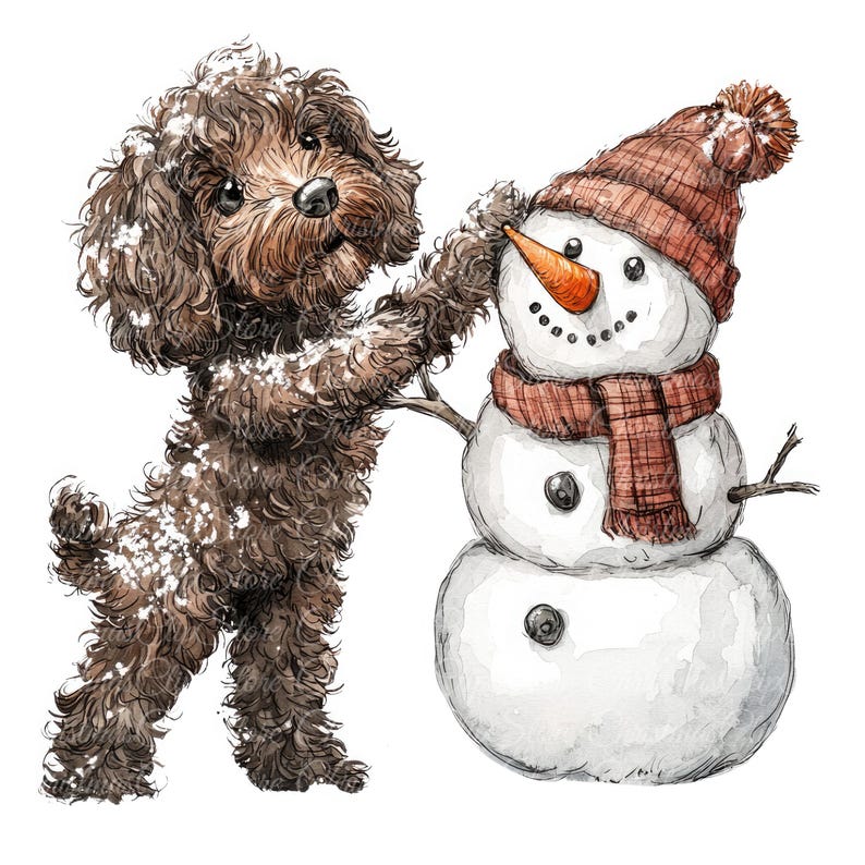10 Chocolate Goldendoodle and Snowman Digital Illustrations, High ...