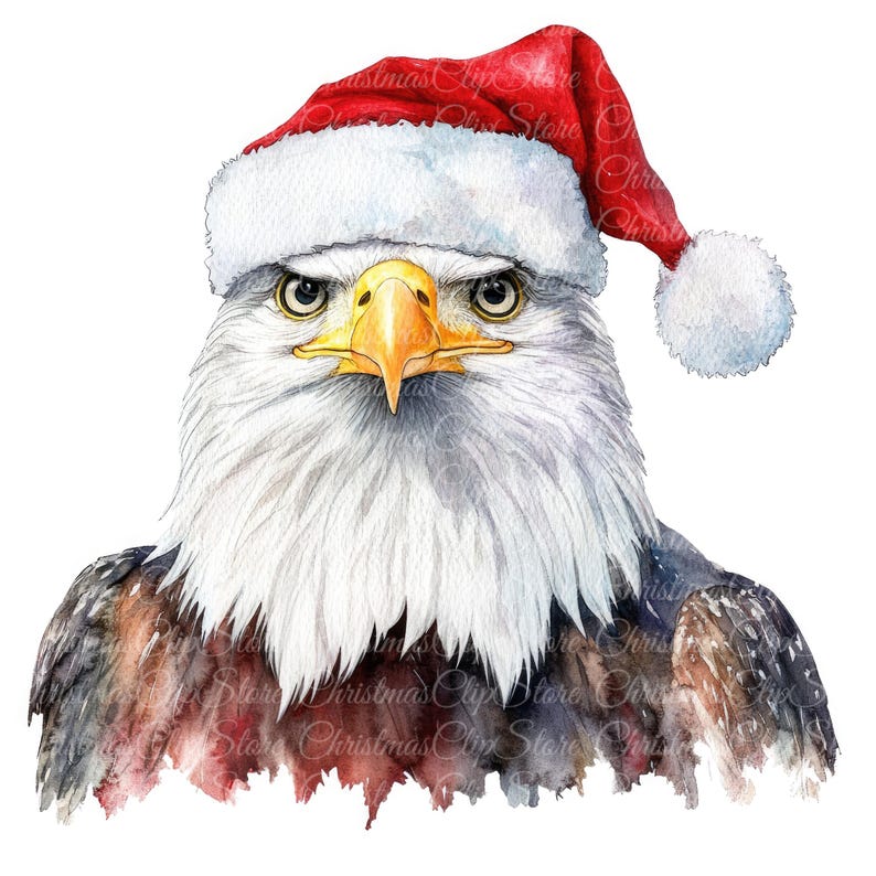 Eagle With Santa Hat Clipart, Christmas PNG JPG (digital Download) - Etsy