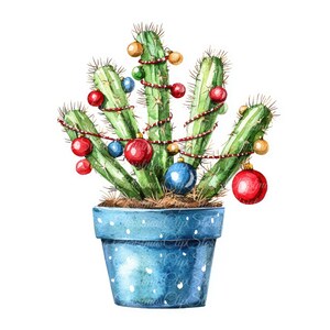 14 Christmas Cactus Digital Illustrations, High Quality PNG & JPG ...