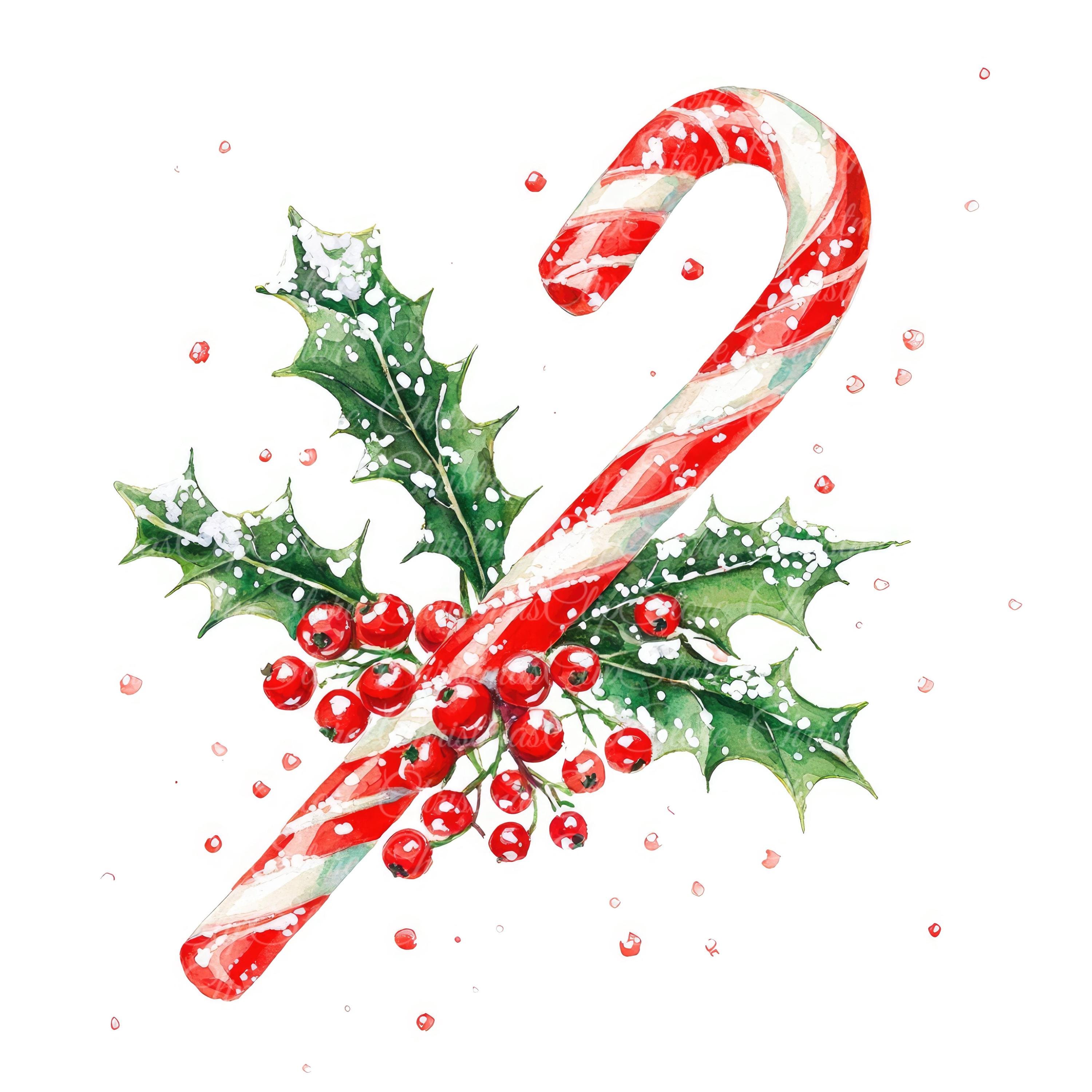 10 Beautiful Candy Cane Digital Illustrations, High Quality PNG & JPG ...