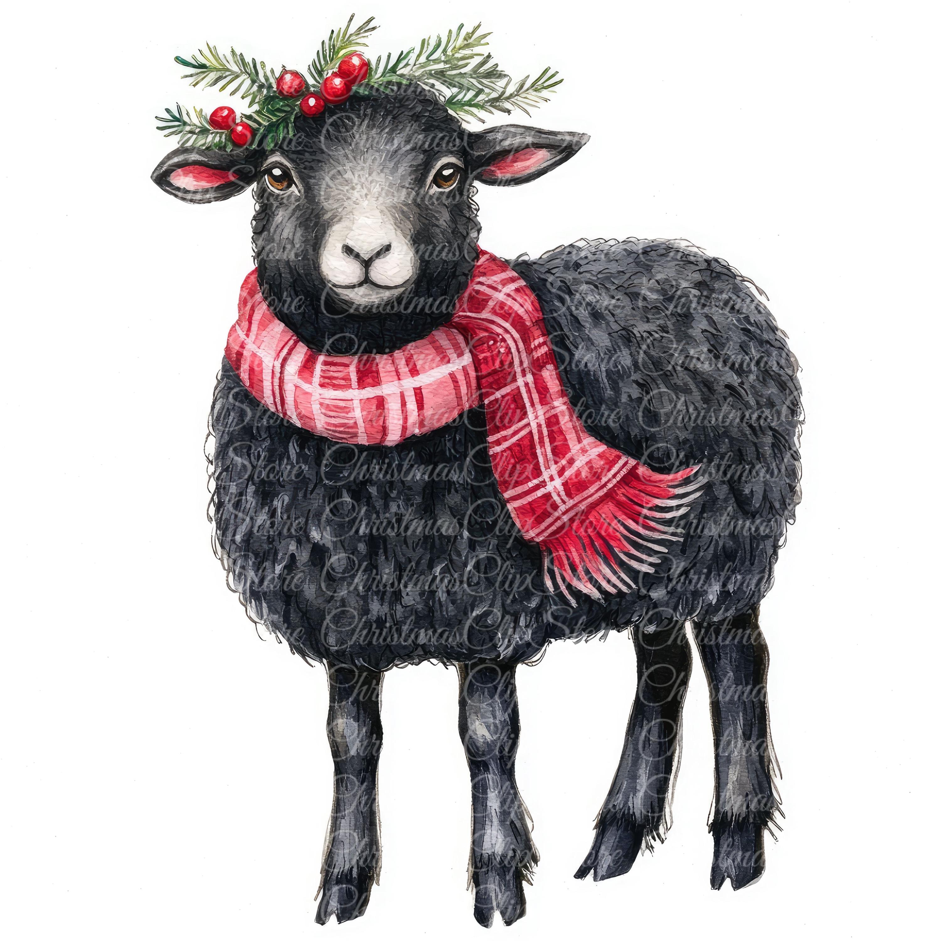 10 Christmas Black Sheep Digital Illustrations, High Quality PNG & JPG ...