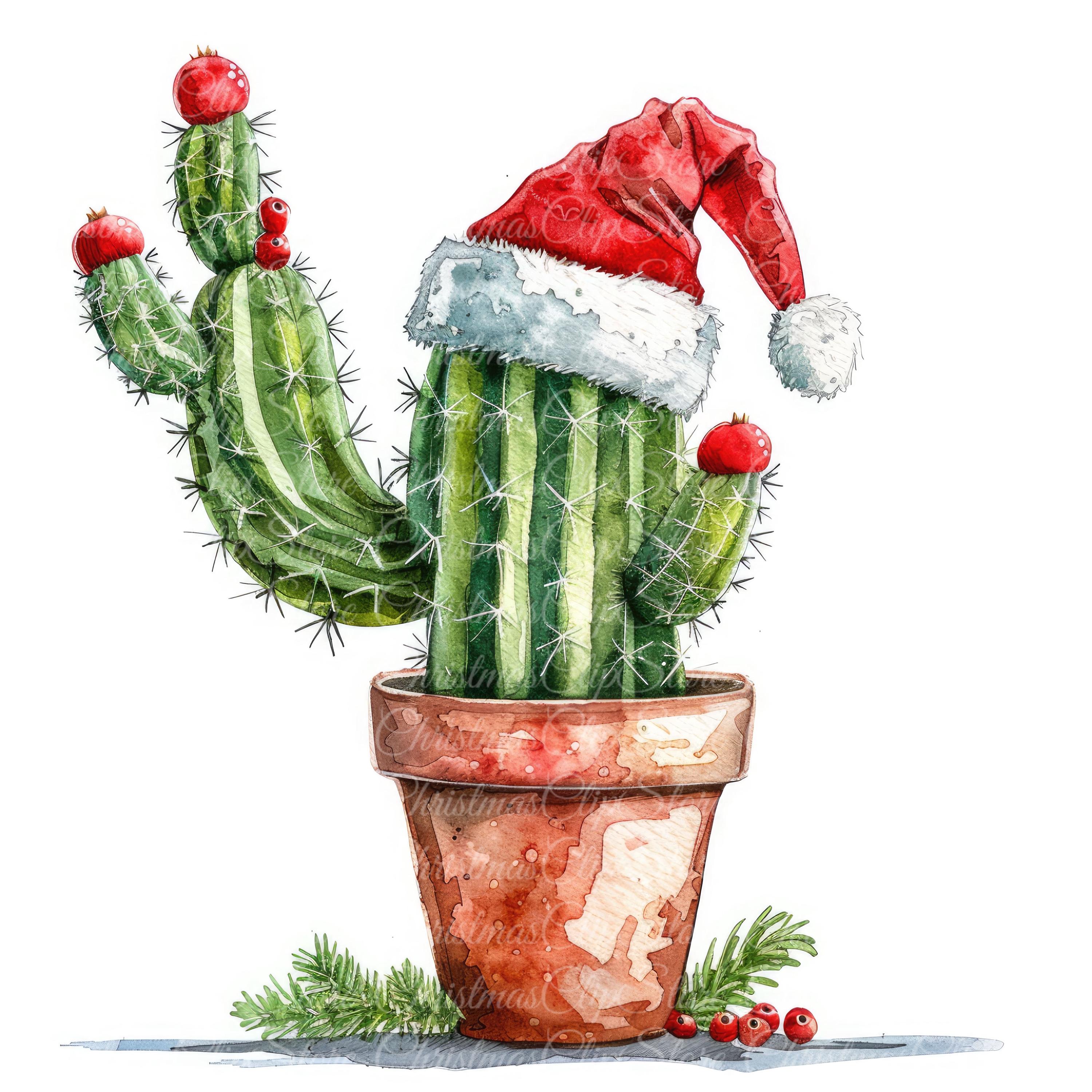 14 Christmas Cactus Digital Illustrations, High Quality PNG & JPG ...