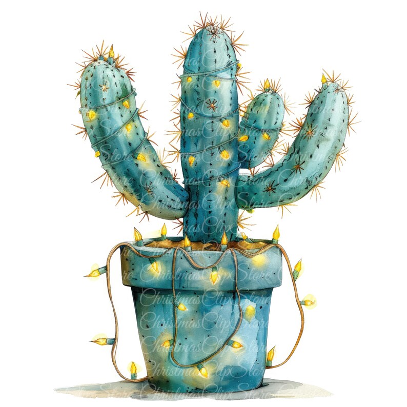 14 Christmas Cactus Digital Illustrations, High Quality PNG & JPG ...