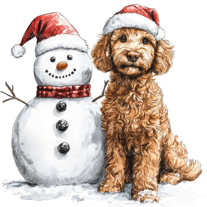 10 Christmas Goldendoodle and Snowman Digital Illustrations, High ...