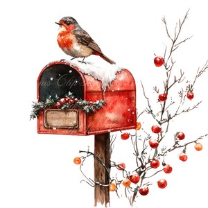 10 Robin on Mailbox Digital Illustrations, High Quality PNG & JPG ...