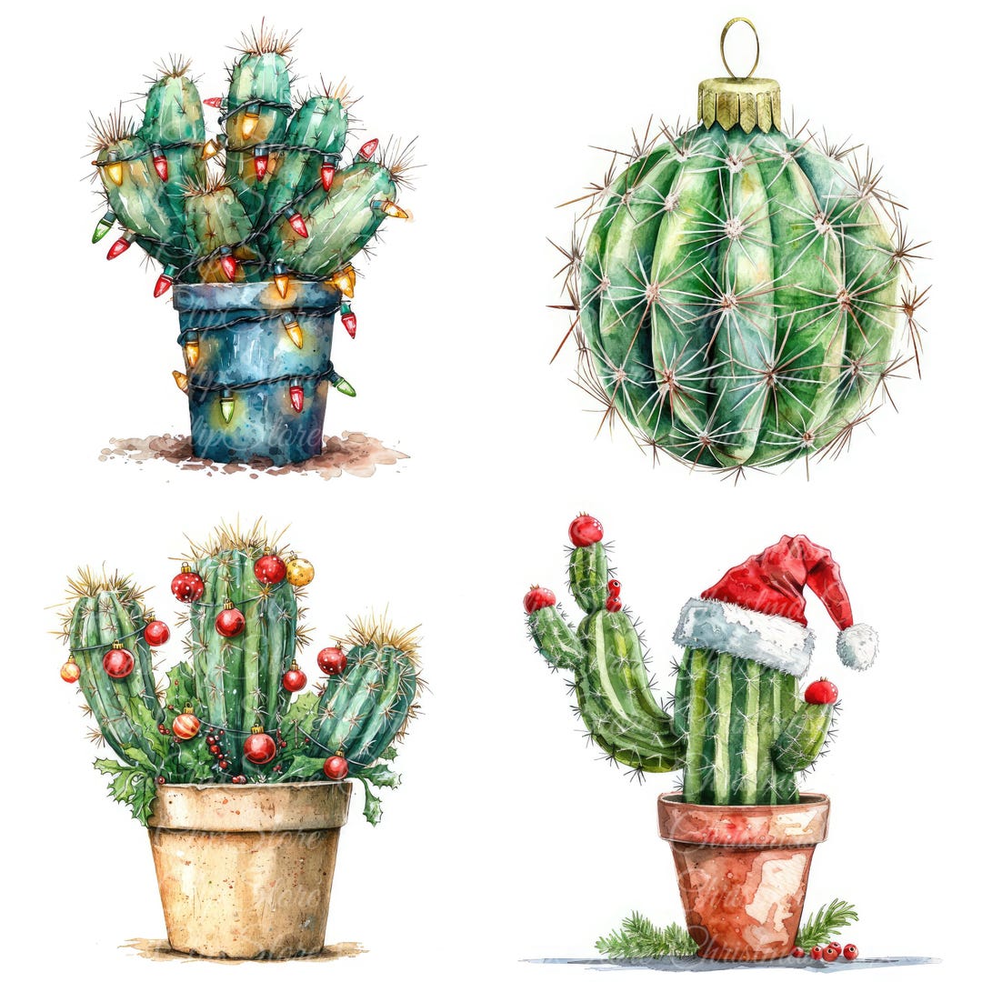 14 Christmas Cactus Digital Illustrations, High Quality PNG & JPG ...
