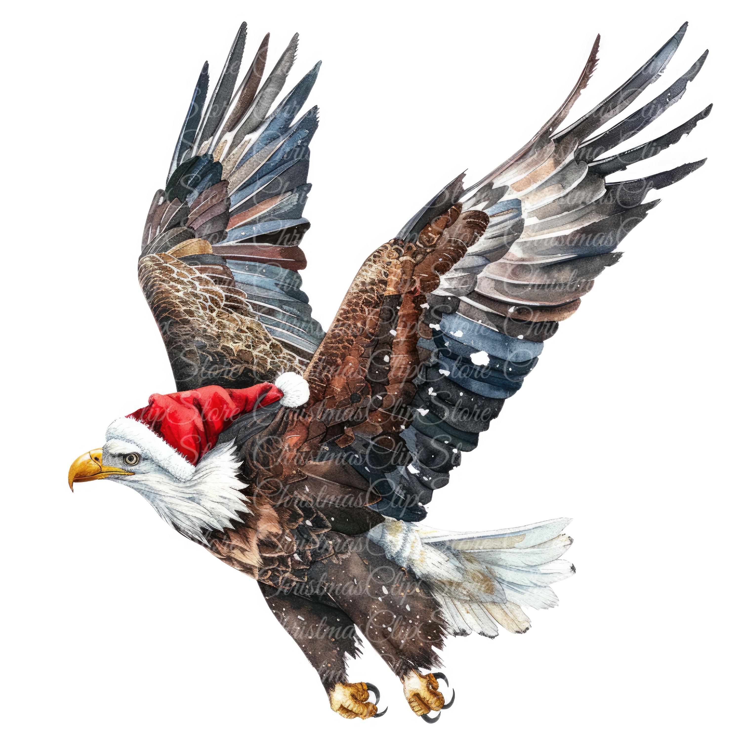 10 Eagle With Santa Hat Digital Illustrations, High Quality PNG & JPG ...