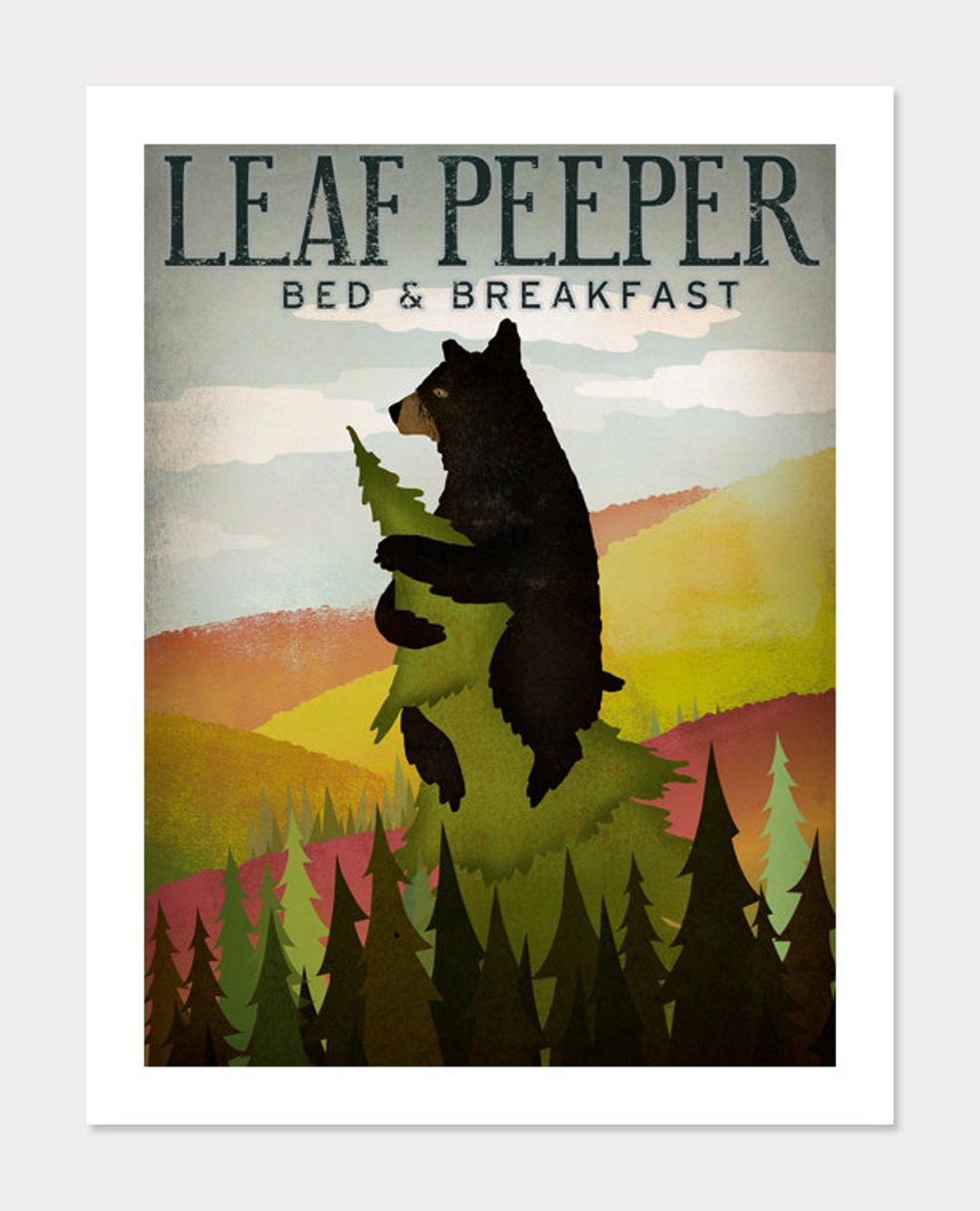 BLACK BEAR Leaf Peeper Fall Foliage Bed and Breaskfast Graphic Art ...
