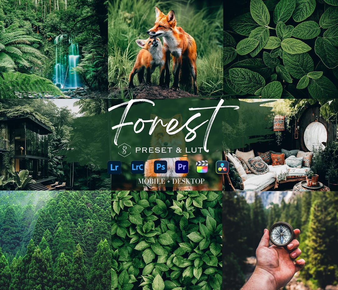 40 All in One PRESET & Luts Forest - Etsy