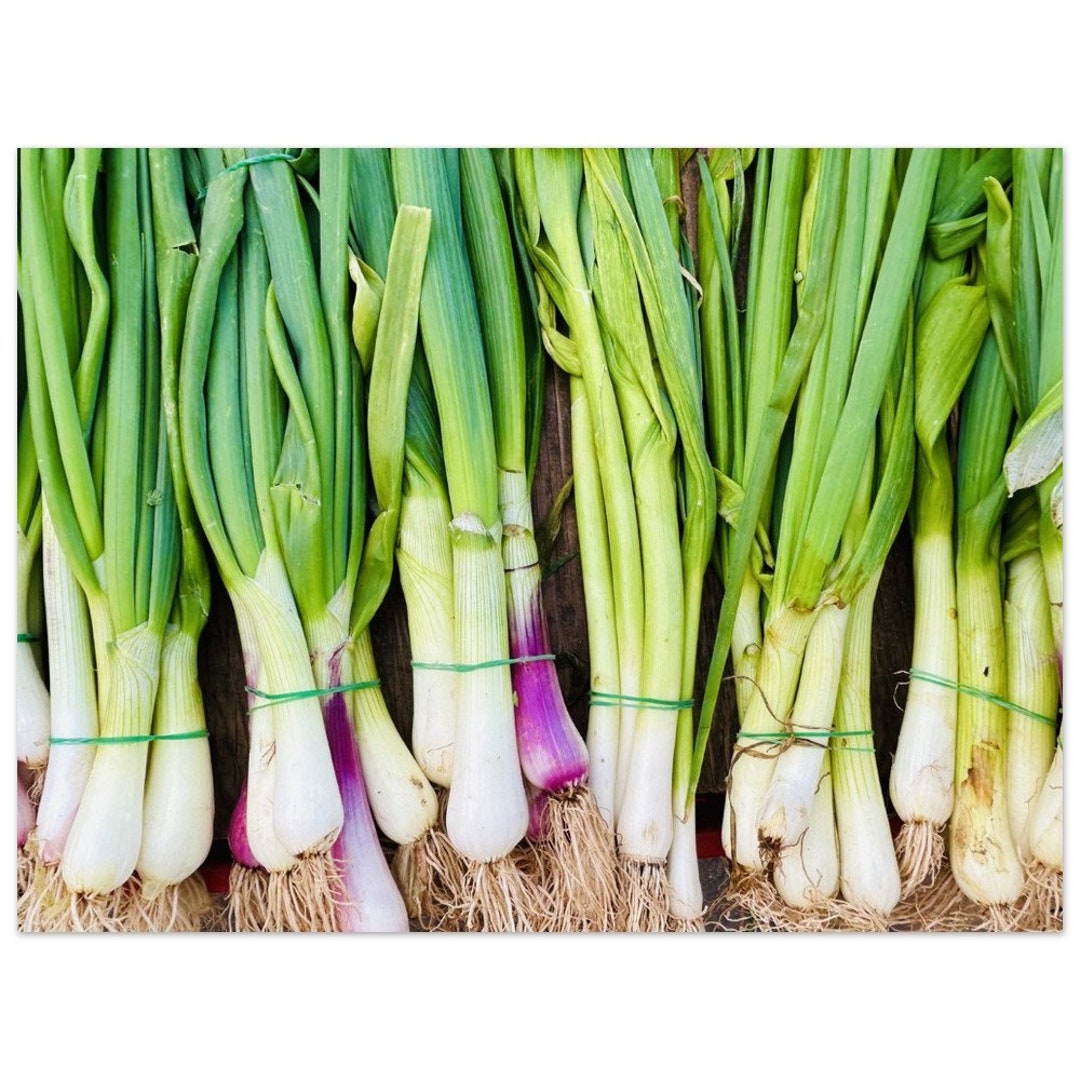Green Onions 9013 Food Photography Poster Print Wall Art Artwork Decor ...